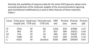 Spring viraemia of carp disease in finfish (svcv) | PDF