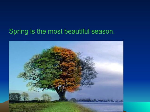 Spring vs autumn | PPT | Weather | Science