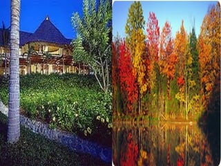 Spring vs autumn | PPT | Weather | Science