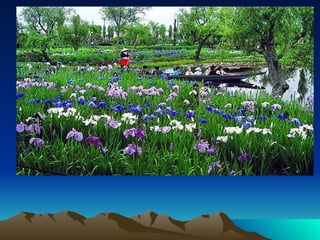 Spring vs autumn | PPT