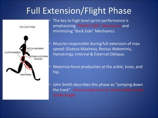 Maximum Speed Phase In Sprinting