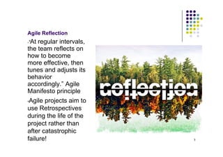 Sprint Retrospectives | PDF