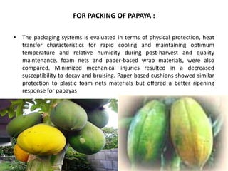S project export papaya ppt | PPTX