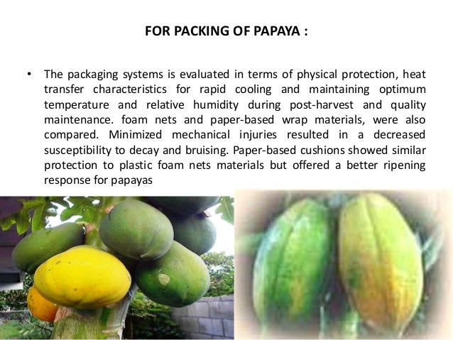 The Philippines Fresh Papaya Export Value Chain – MRQOI