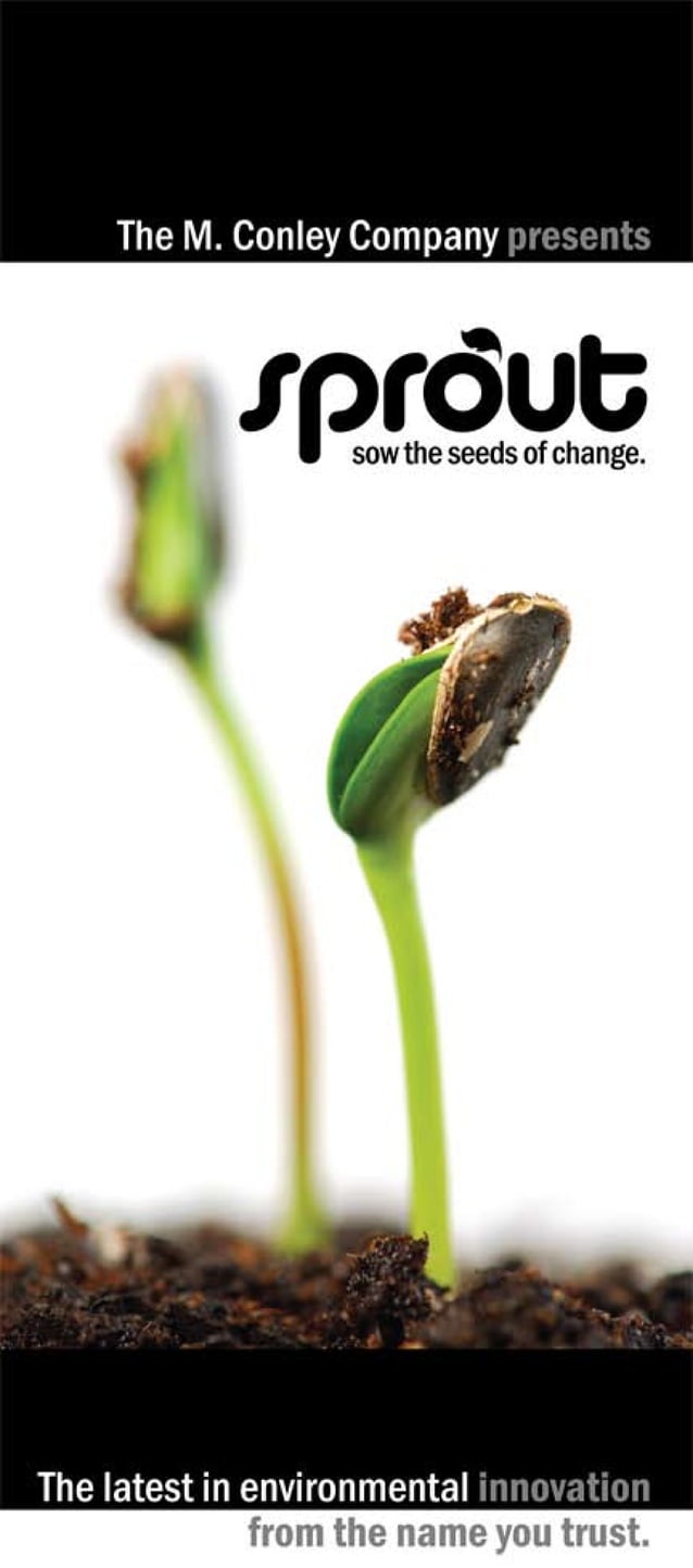 Sprout Brand Development | PPT