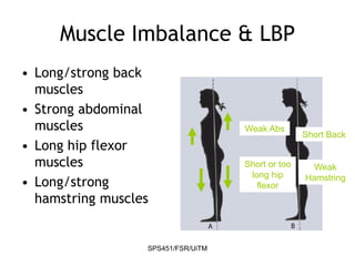 Sps451 t10 body mechanics-lbp | PPT