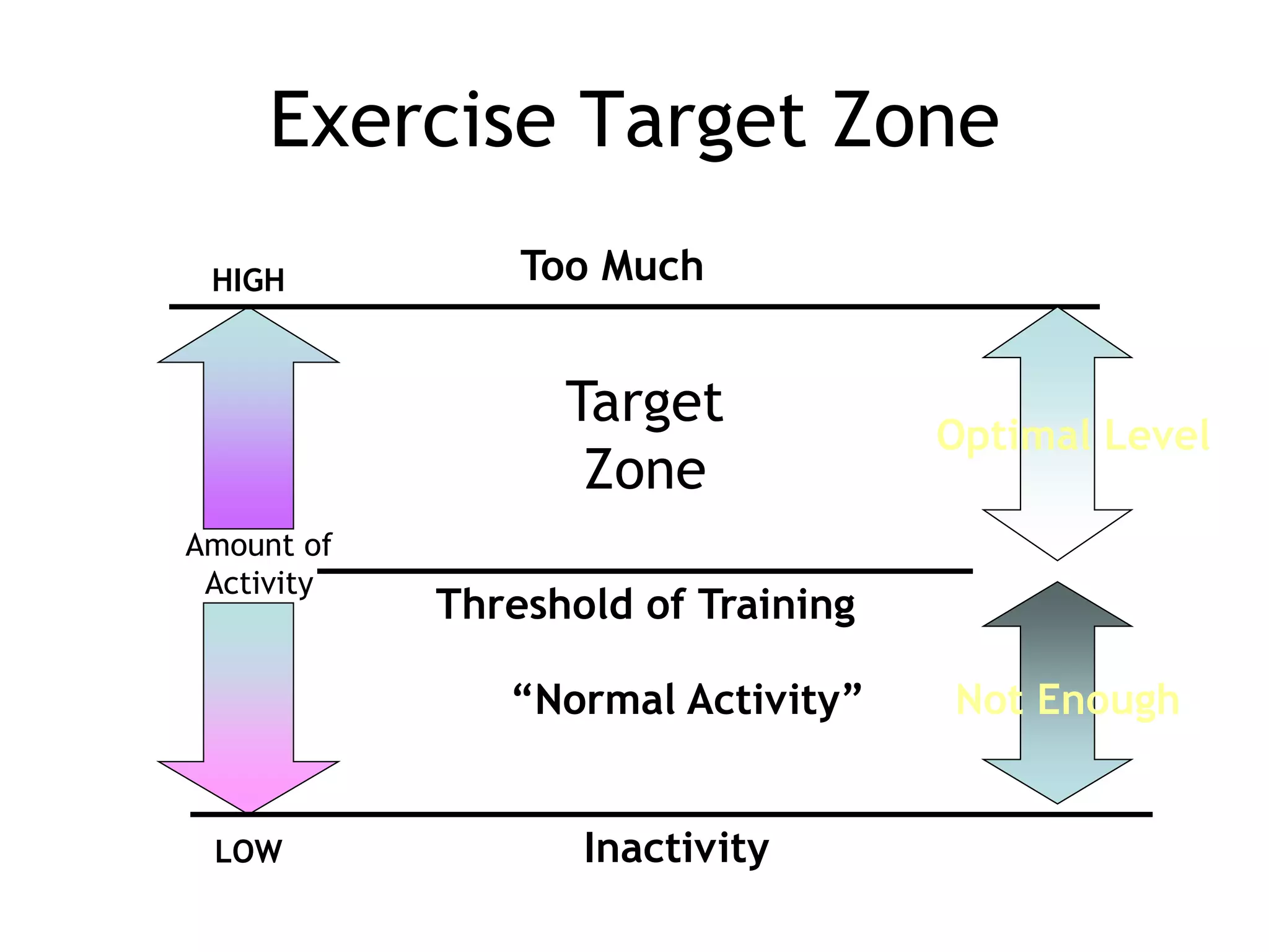 Sps451 t3 exercise principles | PDF