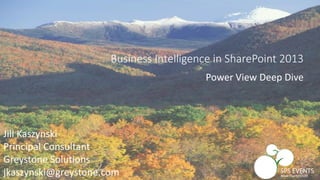 SharePoint Saturday New Hampshire 2013 PowerView Deep Dive | PPT