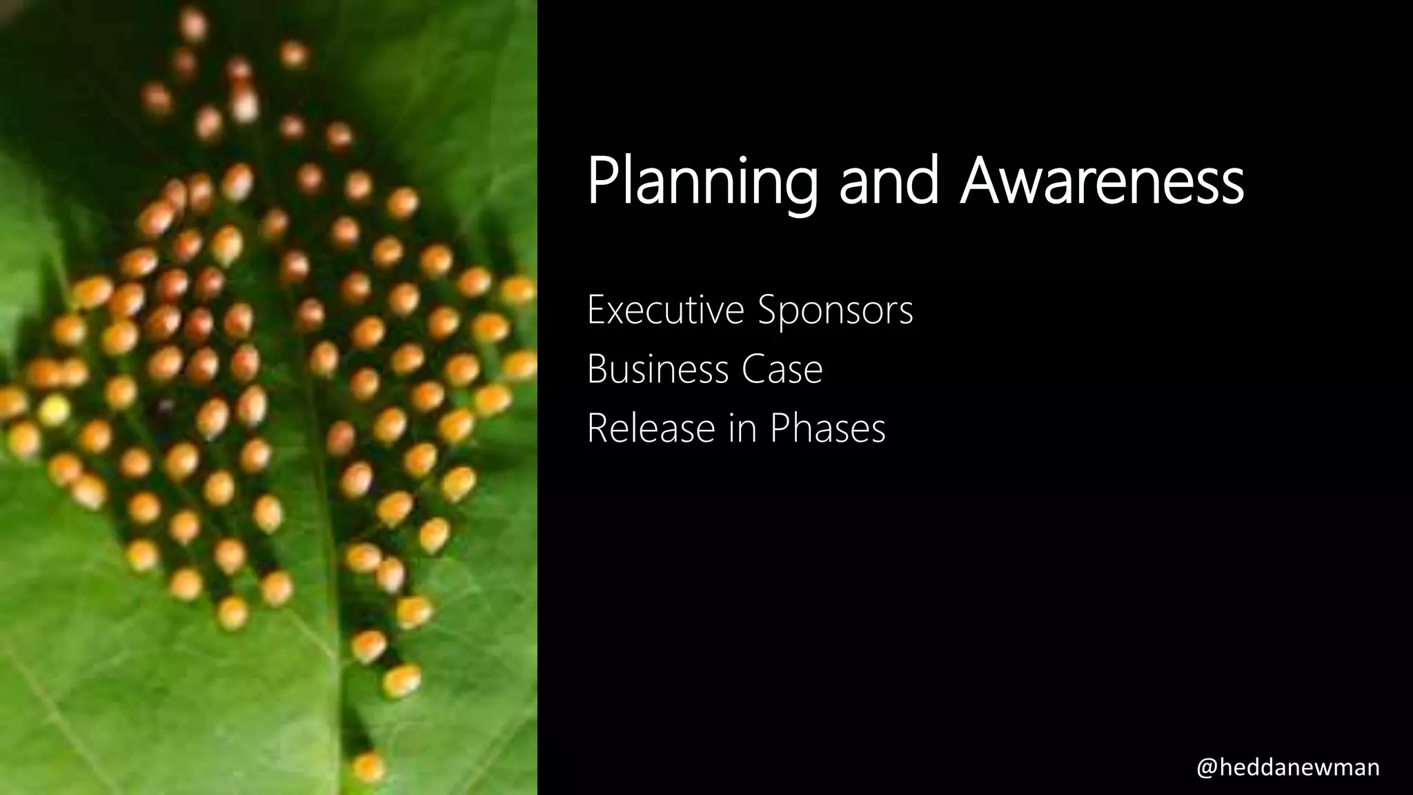 A Practical Guide, Without Change, There Would Be No Butterflies: 8 Steps to Microsoft Teams ...