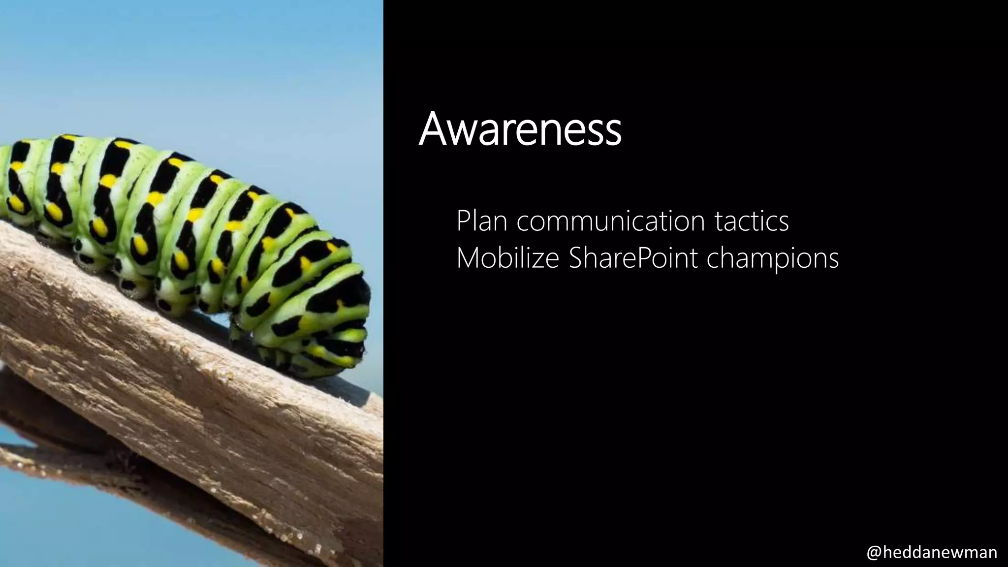 A Practical Guide, Without Change, There Would Be No Butterflies: 8 Steps to Microsoft Teams ...