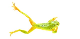 Shannon Plummer Folio I | PPT