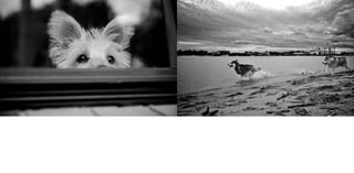 Shannon Plummer Folio II | PDF