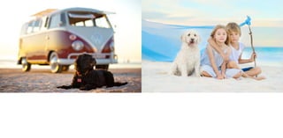 Shannon Plummer Folio II | PDF