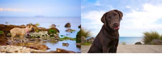 Shannon Plummer Folio II | PDF