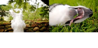 Shannon Plummer Folio II | PDF