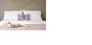 Shannon Plummer Folio II | PDF