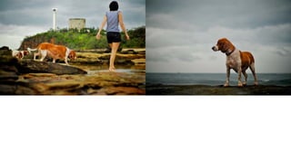 Shannon Plummer Folio II | PDF