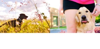 Shannon Plummer Folio II | PDF