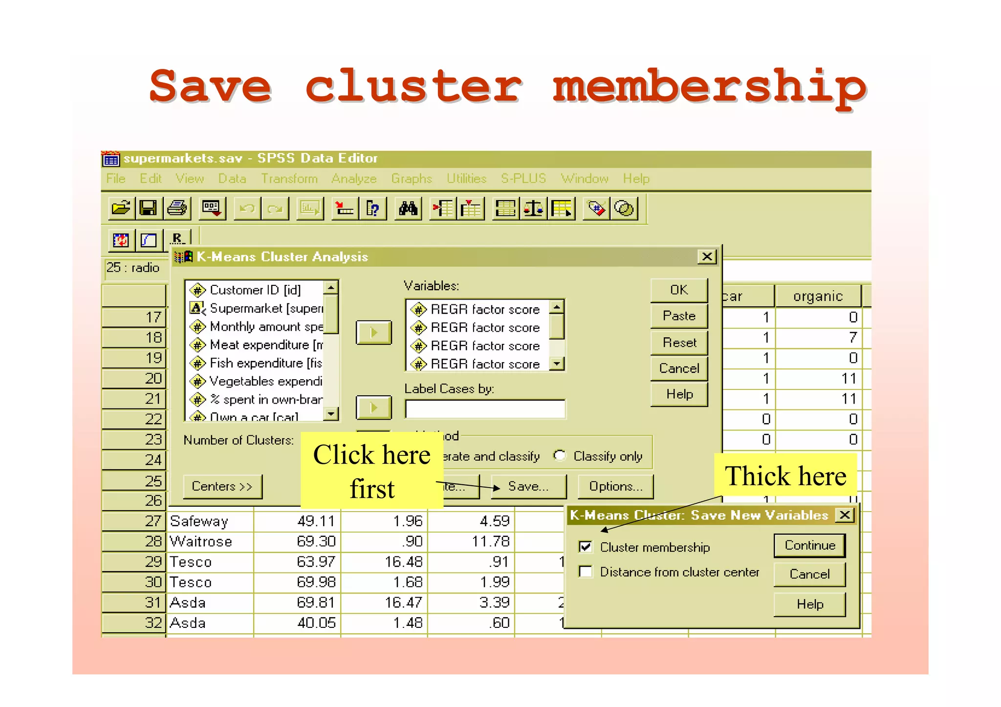 Spss Tutorial Cluster Analysis Pdf Science