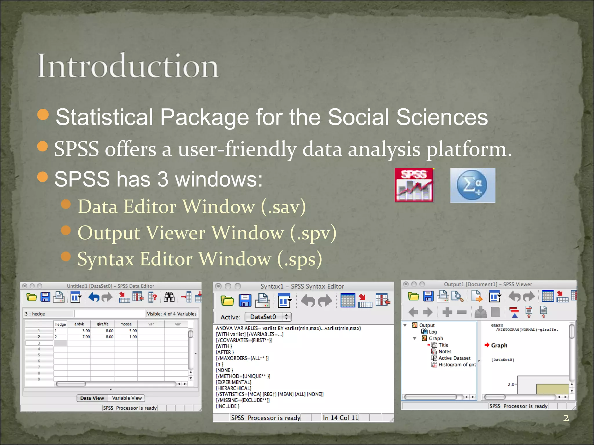 Fundamental of SPSS | PPT | Computing | Technology & Computing