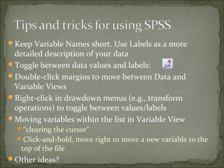 Fundamental of SPSS | PPT | Computing | Technology & Computing