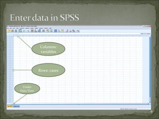 Fundamental of SPSS | PPT | Computing | Technology & Computing