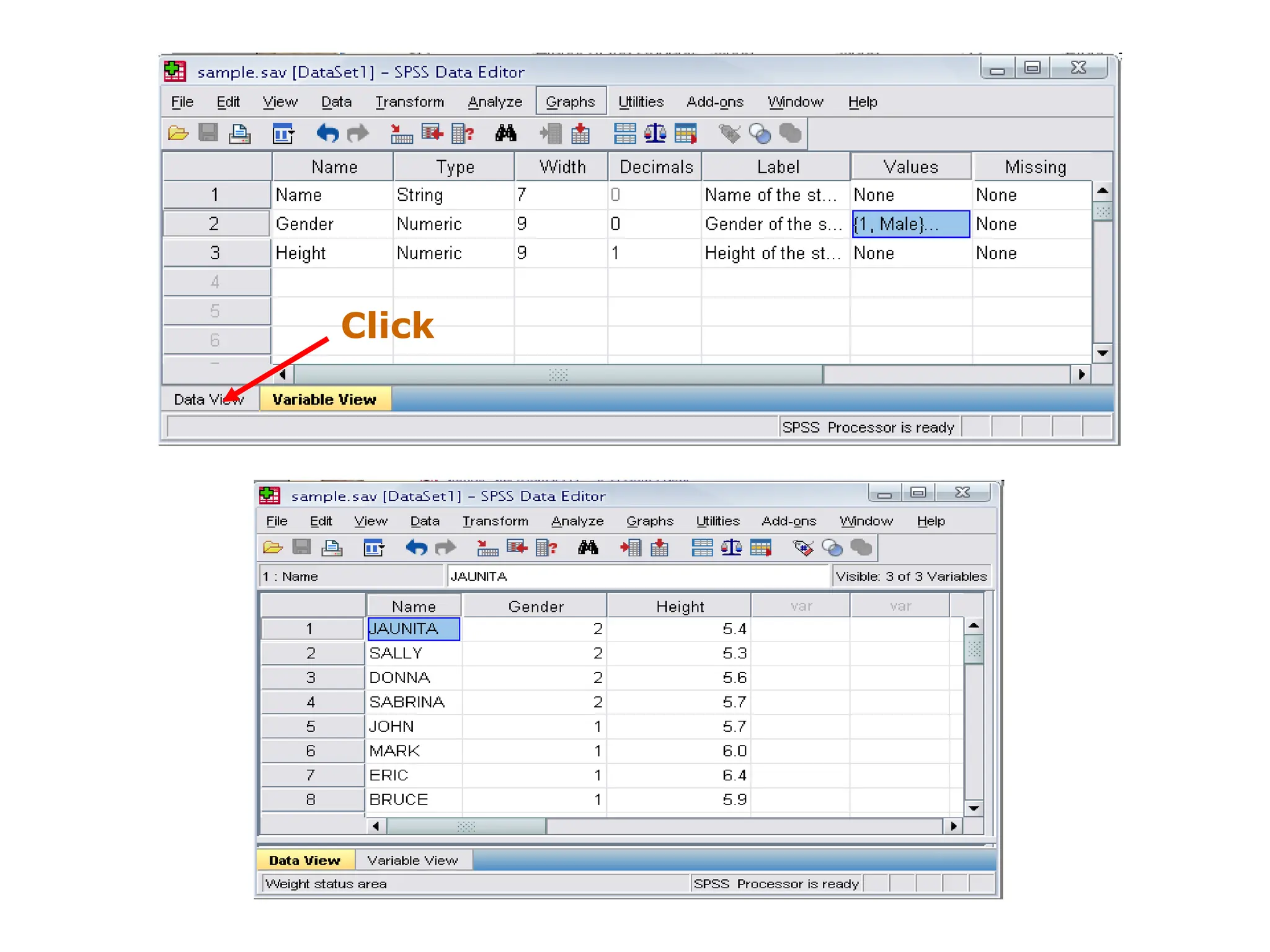 Spss Briefintroduction Spss Introduction Biostatistics Biostatistics Spss Window Spss Data