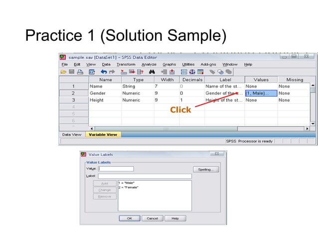 Spss Briefintroduction Spss Introduction Biostatistics Biostatistics Spss Window Spss Data