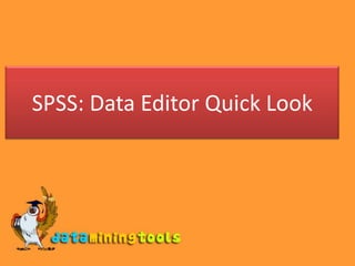 SPSS: Data Editor | PPTX