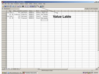 Spss data entry | PPSX | Technology & Computing