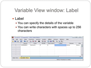 Spss intro for engineering | PPT | Technology & Computing