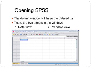 Spss intro for engineering | PPT | Technology & Computing