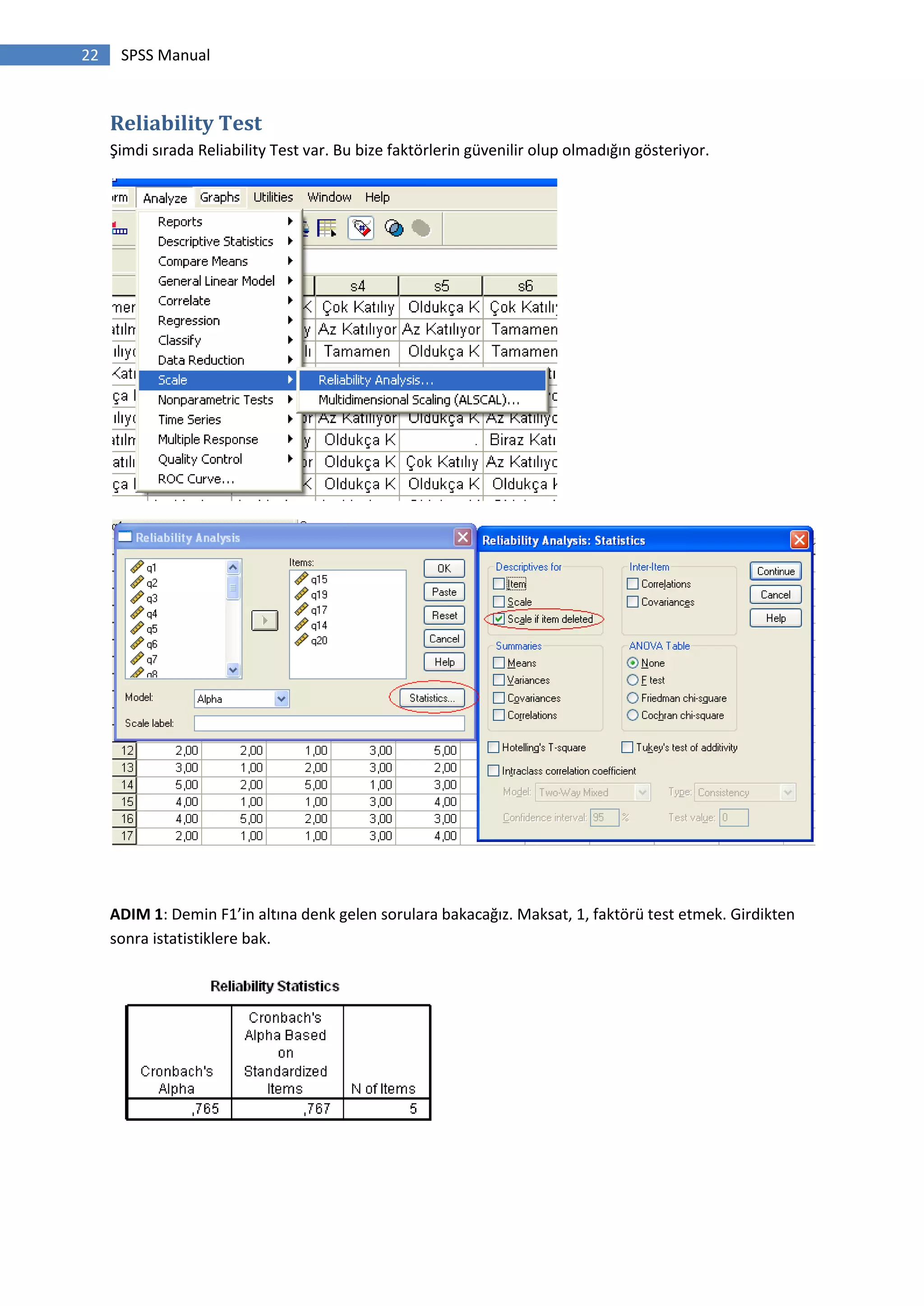 SPSS Manual (Turkish) | PDF