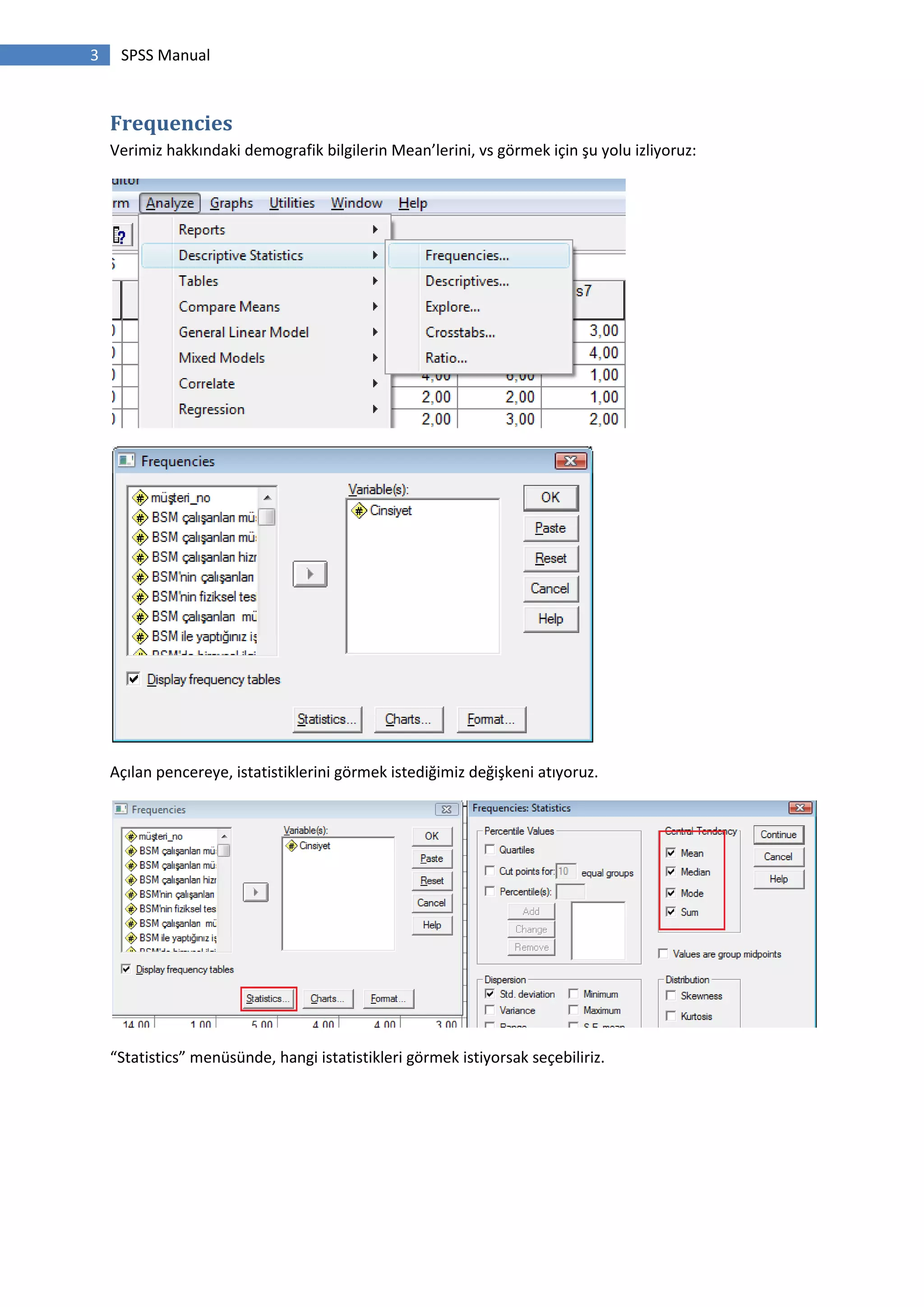 SPSS Manual (Turkish) | PDF