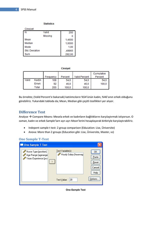 SPSS Manual (Turkish) | PDF