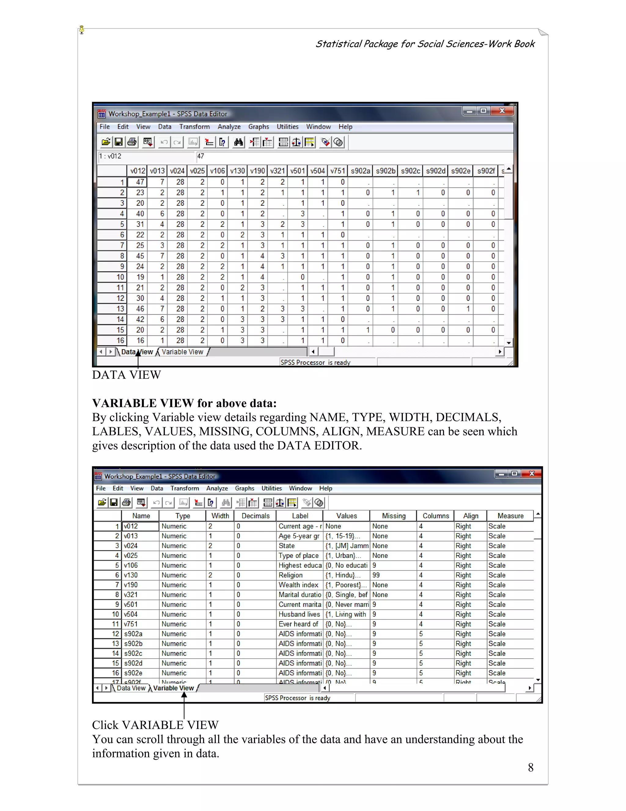 SPSS :Introduction for beginners | PDF