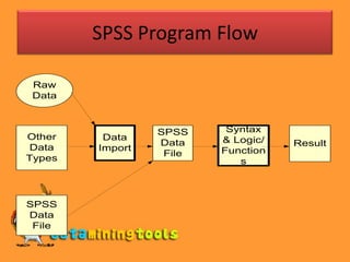 SPSS: Quick Look | PPTX | Technology & Computing
