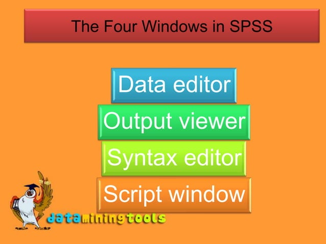 SPSS: Quick Look | PPTX | Technology & Computing