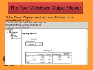 SPSS: Quick Look | PPTX | Technology & Computing