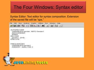 SPSS: Quick Look | PPTX | Technology & Computing