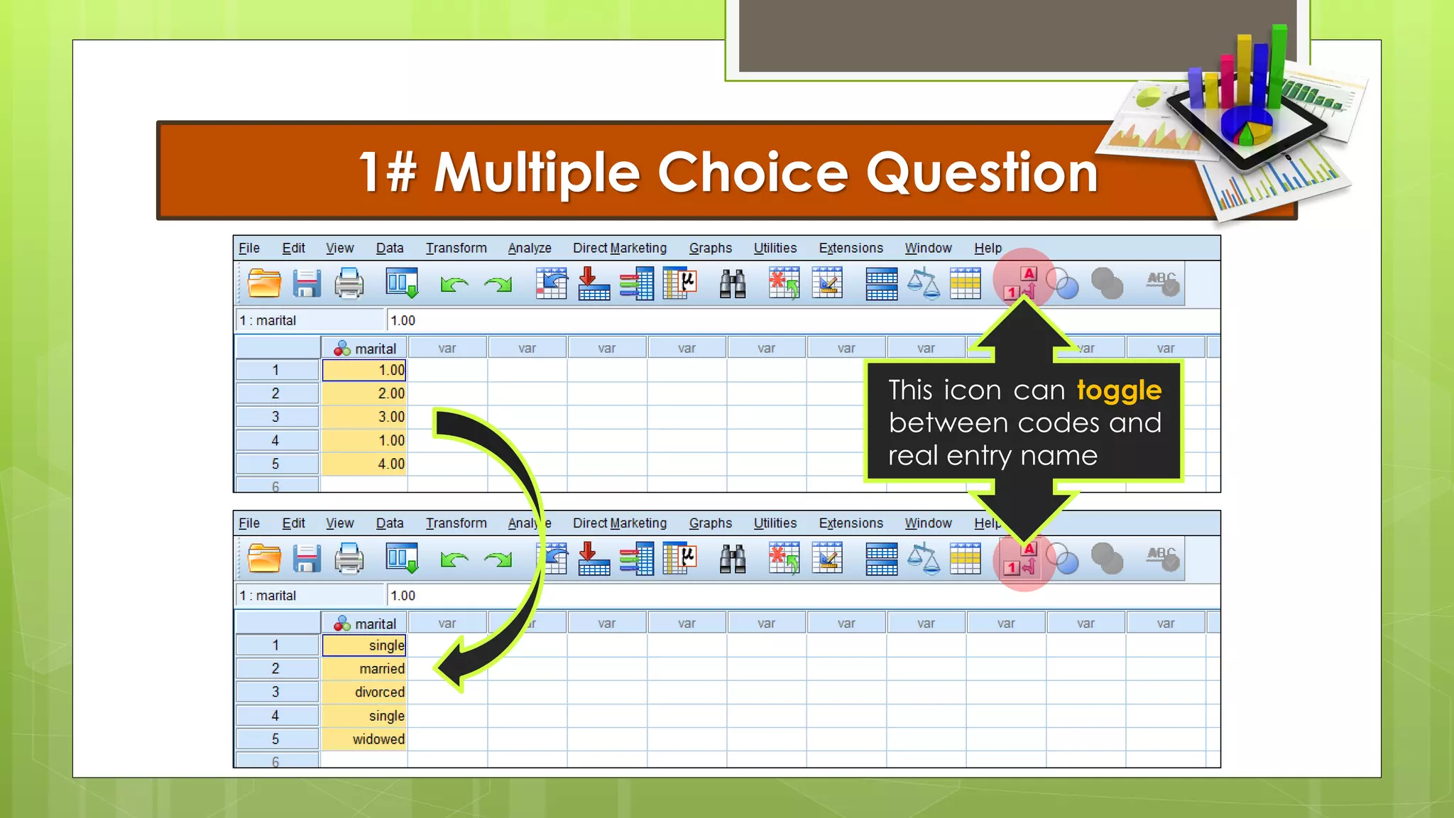 Spss Series Data Entry And Coding Pdf