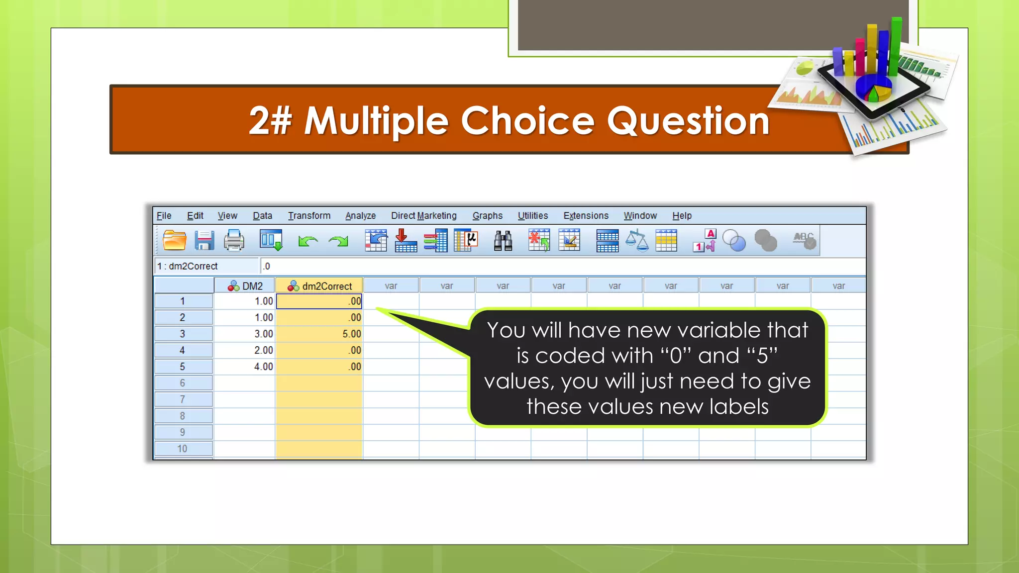 Spss Series Data Entry And Coding Ppt