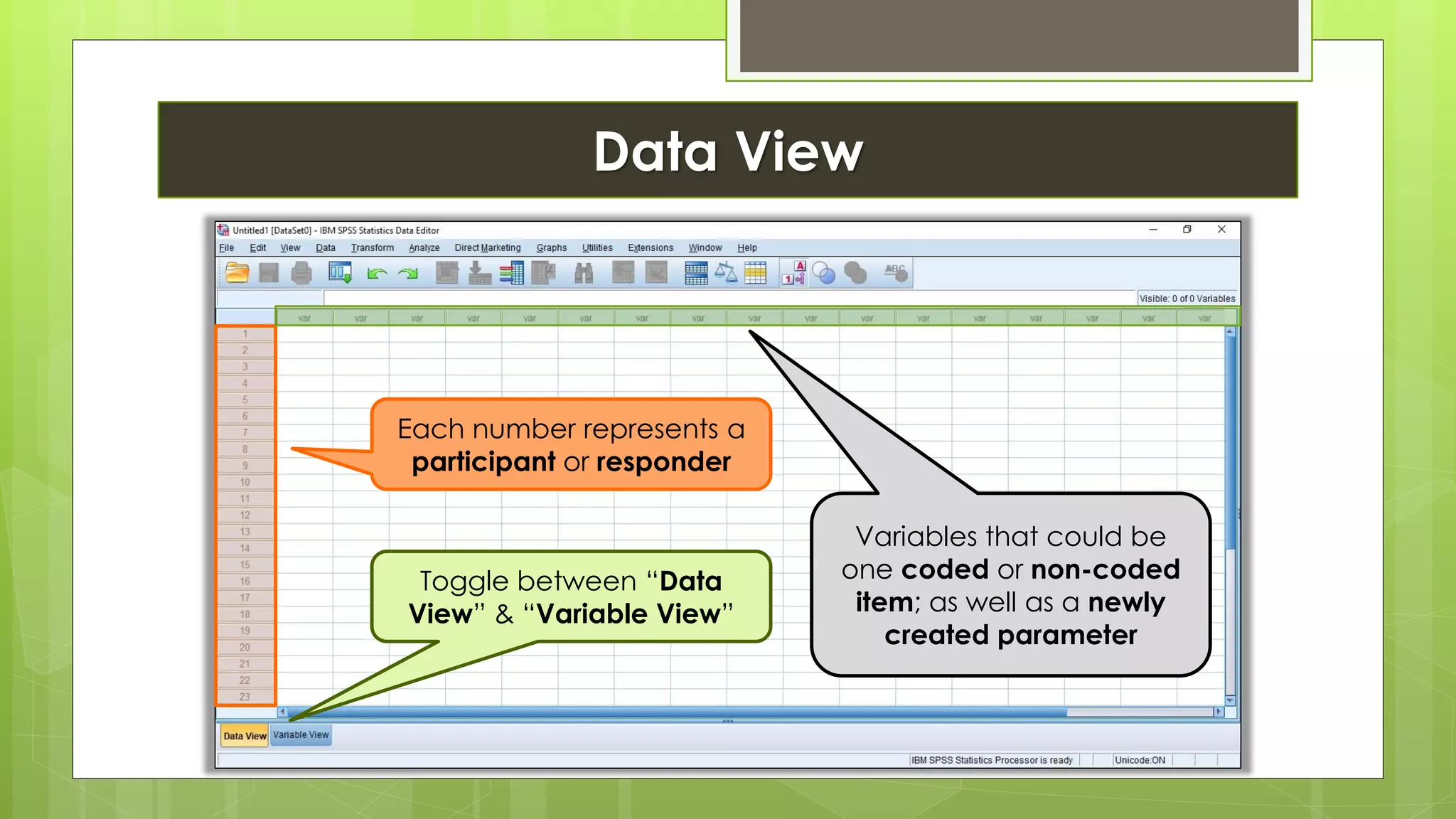 Spss Series Data Entry And Coding Pdf