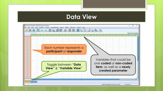 Spss series - data entry and coding | PDF