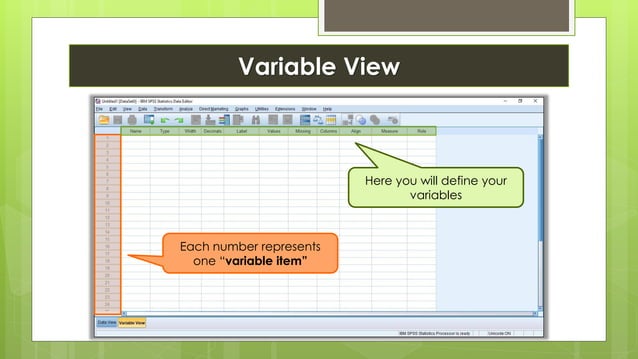 Spss series - data entry and coding | PDF