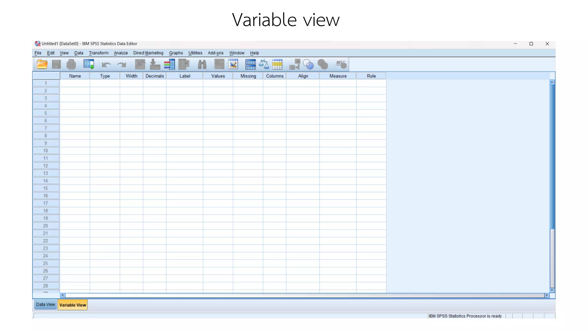 SPSS software application.pdf