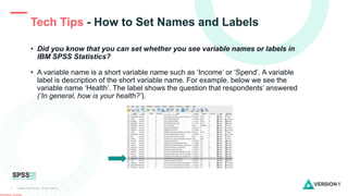 SPSS Statistics - Setting Values and Labels in IBM SPSS Statistics.pptx