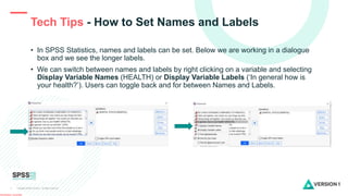SPSS Statistics - Setting Values and Labels in IBM SPSS Statistics.pptx
