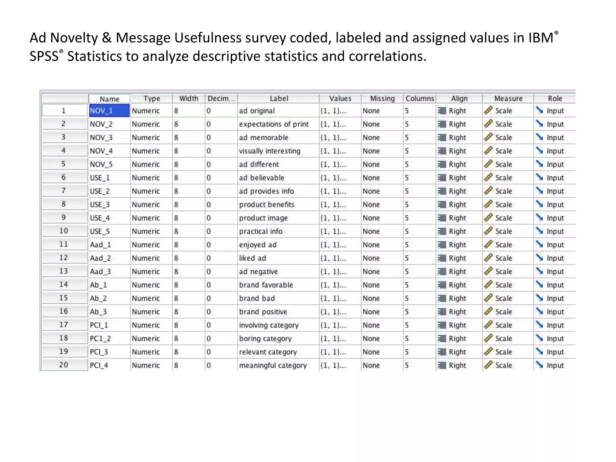 SPSS and Survey Design Sample | PPTX
