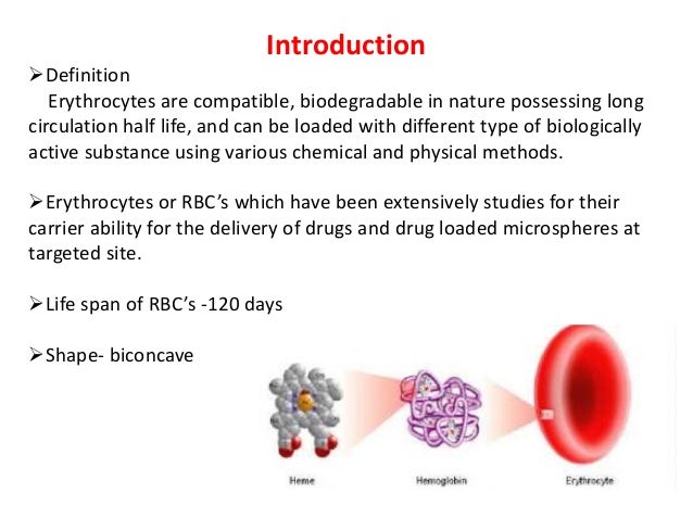Erythrocytes Definition Hemolysis. Causes, symptoms, treatment Hemolysis